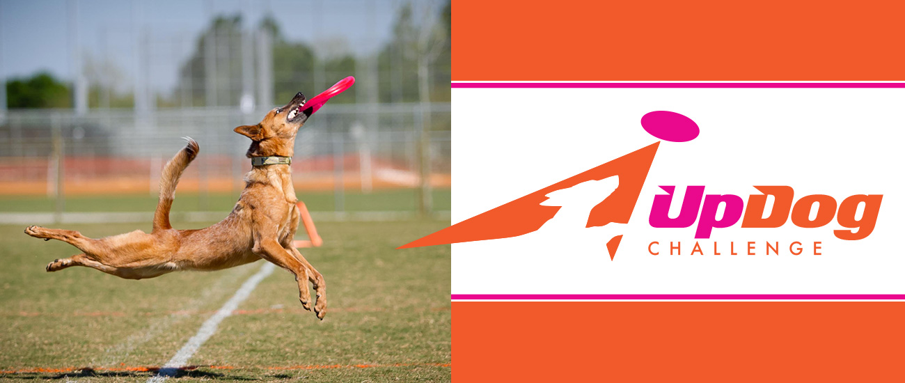Dog Sport Competition For Everyone – UpDog Challenge – Dog Sport ...
