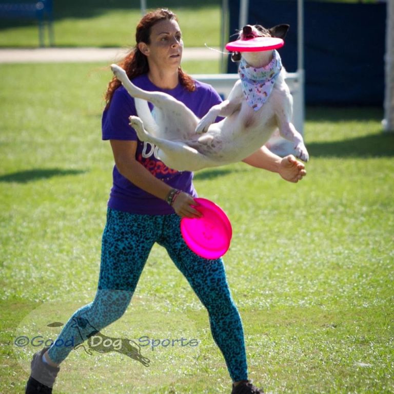 Games Overview – Dog Sport Competition For Everyone